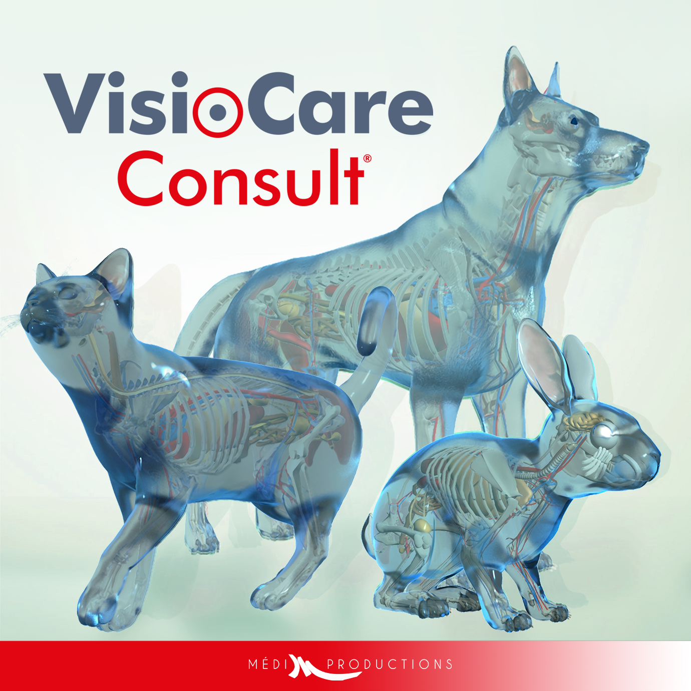 VisioCare Consult